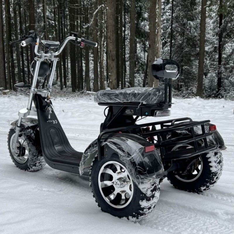 Elektrinis triratis motoroleris čioperis Citycoco EB-05 PLUS 1000W - E303