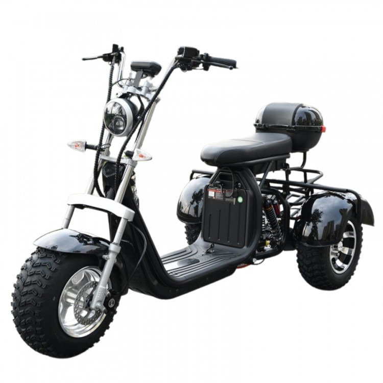 Elektrinis triratis motoroleris čioperis Citycoco EB-05 PLUS 1000W - E303